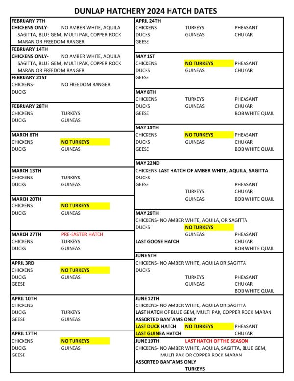 Chick Hatching Schedule | Hatching Eggs | Poultry Caldwell